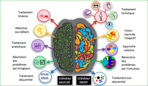 La Méthode Tomatis ou l’Audio-Psycho-Phonologie | Les Chroniques d ...