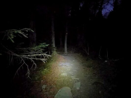 Le chemin… | Les Chroniques d'Arcturius