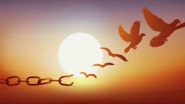 Des miracles se produisent partout en même temps | Les Chroniques d ...